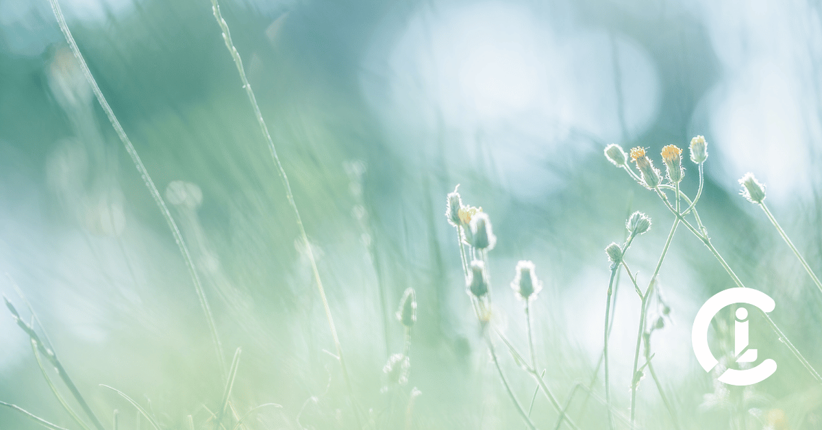 Executive Team Bios - iLearn Collaborative